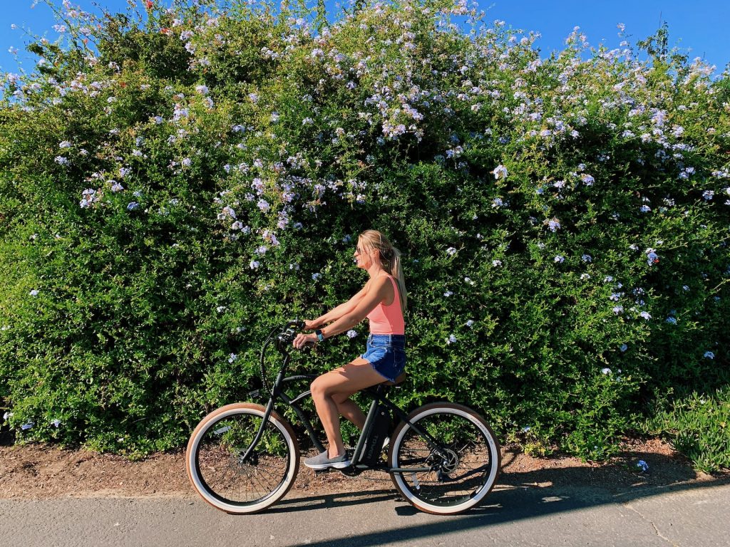 How to Check and Replace Fuses in Electric Bikes? - EBIKE Delight